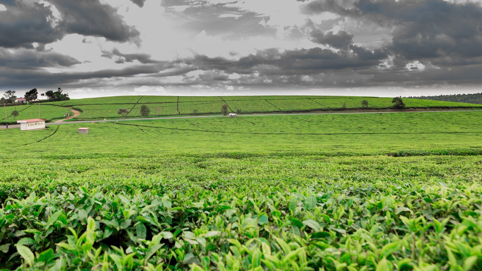 Evans Osano - FSD Africa