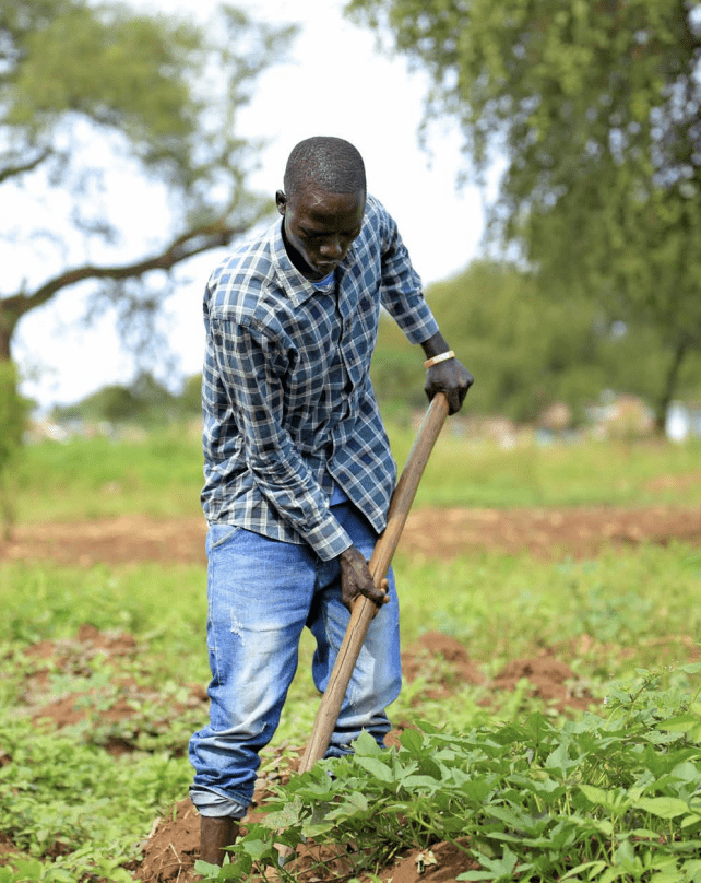 Rebuilding livelihoods in displacement - FSD Africa