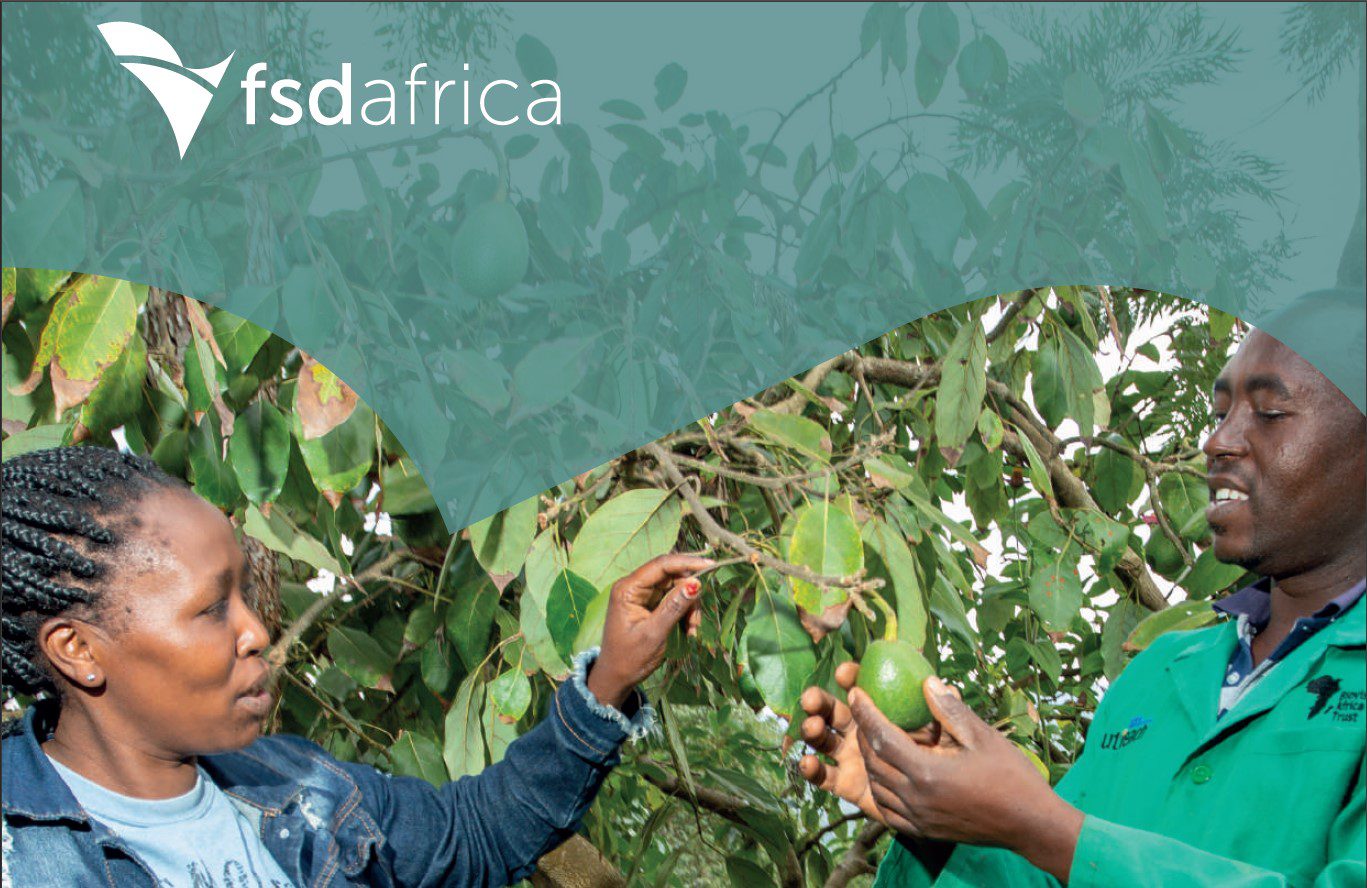 FSD Africa Impact Report - 2022 - FSD Africa