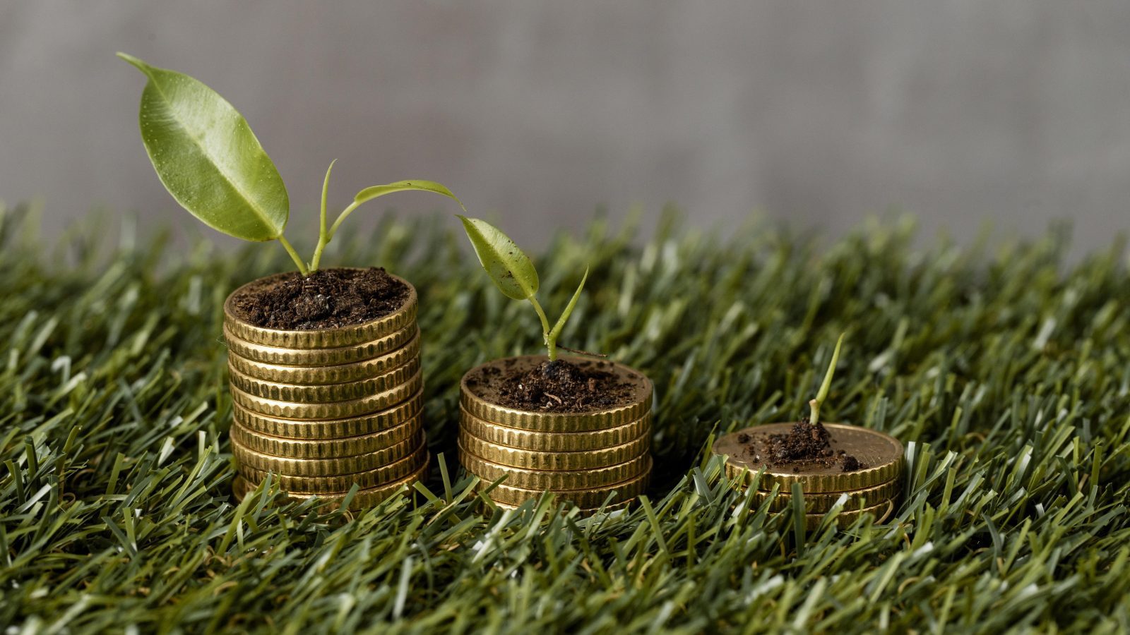 10th Meeting of the San Giorgio Group Mobilizing Capital for a Just and ...