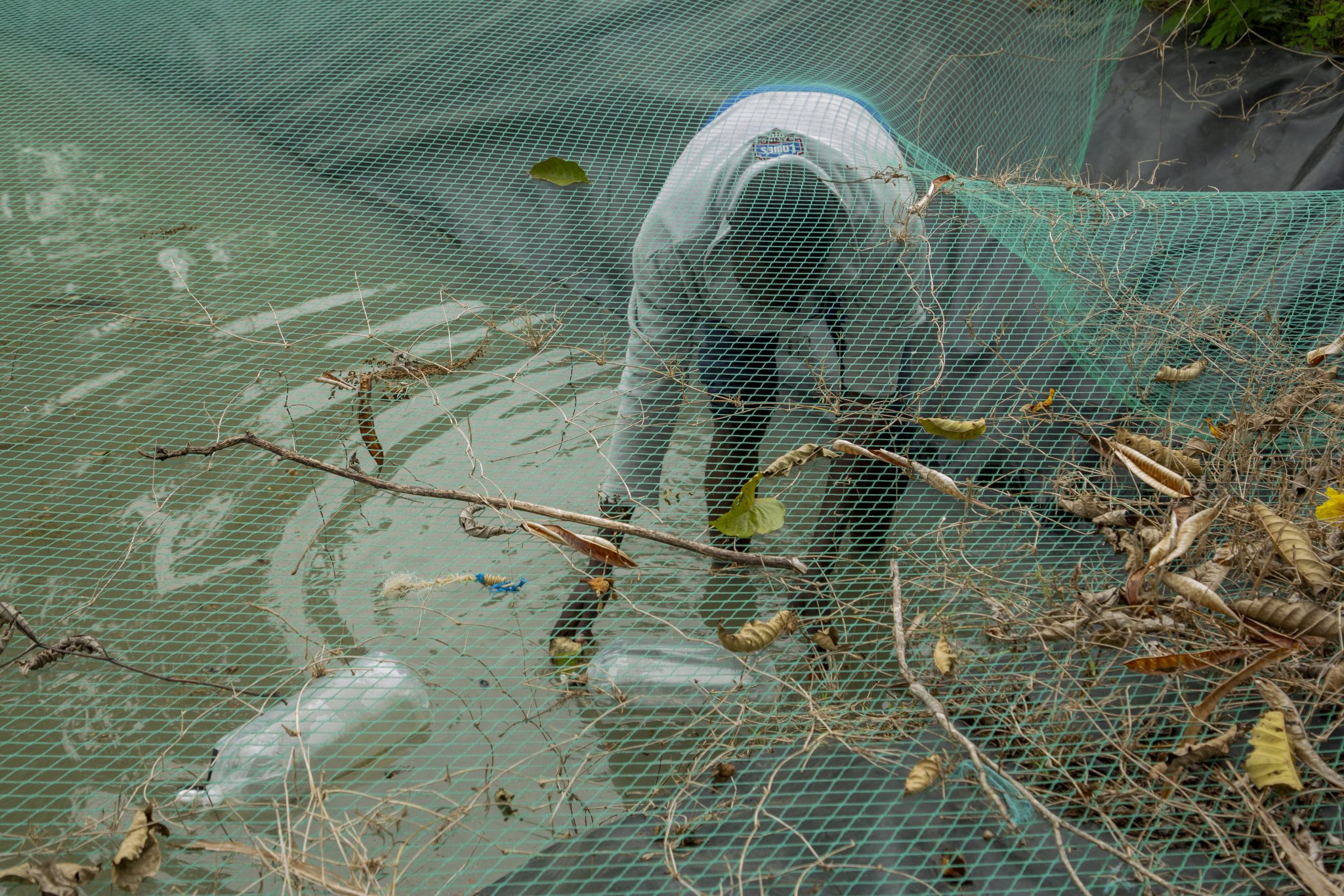 AquaMnara: Building resilience for aquaculture farmers - FSD Africa